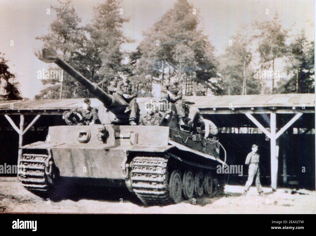 Waffen Ss Tiger Banque d'image et photos - Alamy