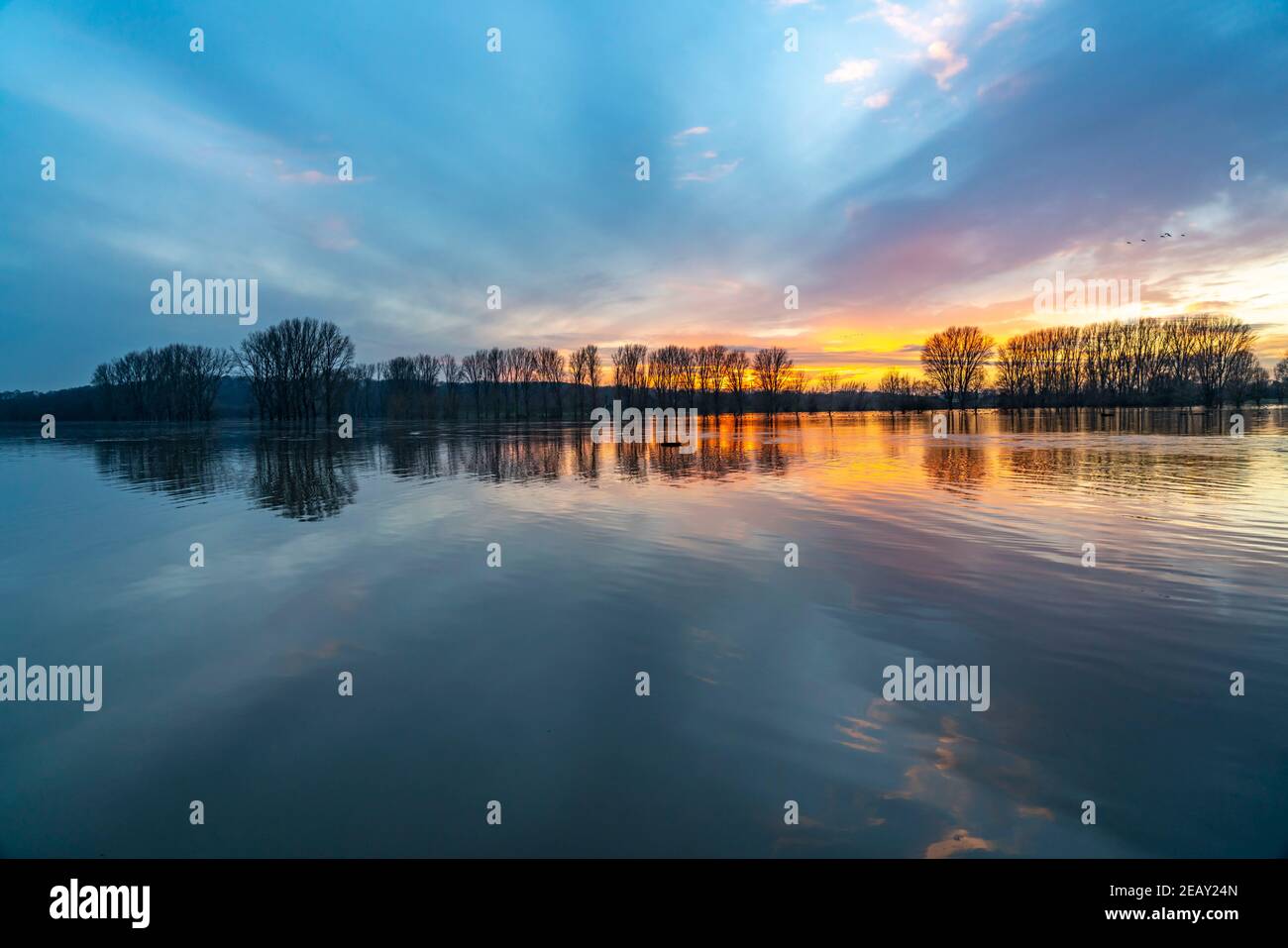 Paysage de la plaine inondable Banque de photographies et d’images à ...