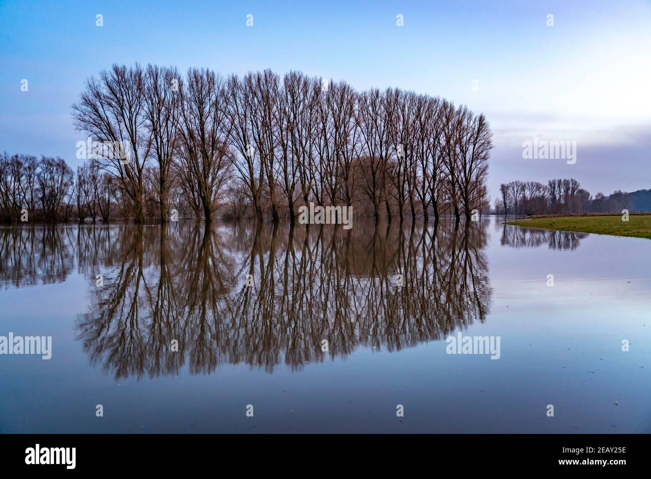Paysage de la plaine inondable Banque de photographies et d’images à ...