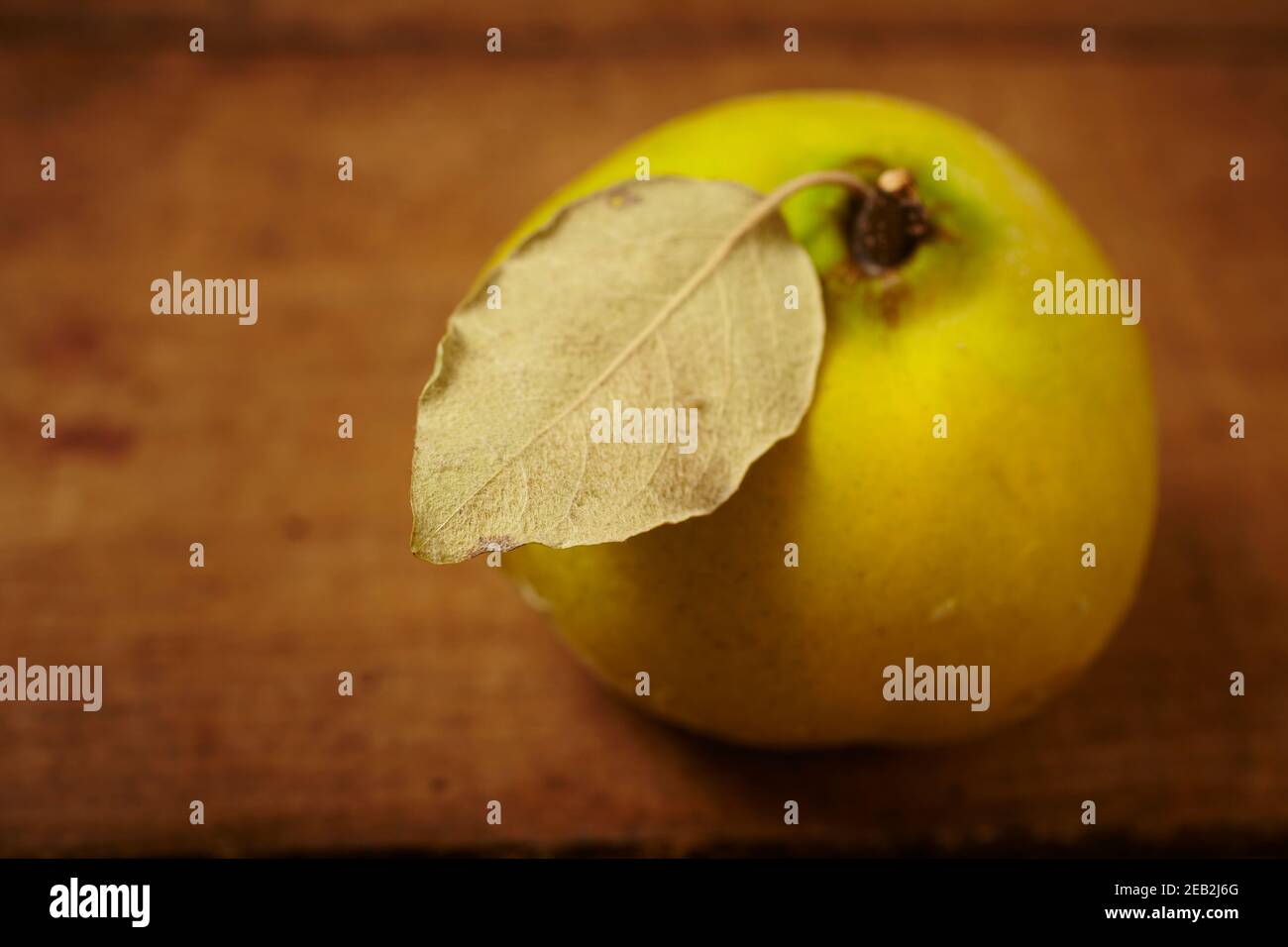 Feuille de coing Banque de photographies et d’images à haute résolution ...