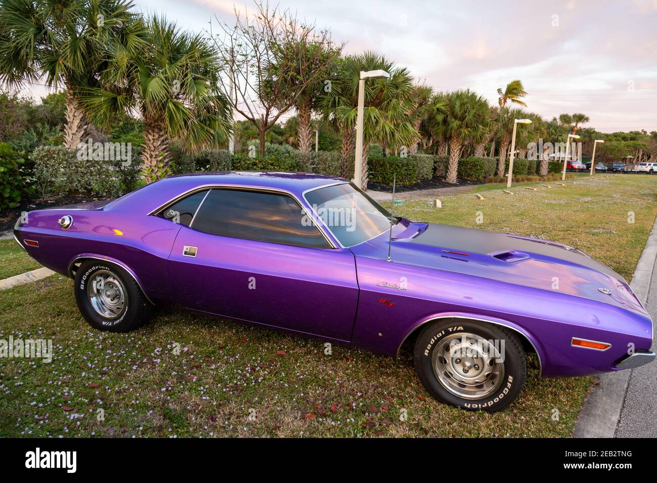 Dodge challenger r t 1970 Banque de photographies et d’images à haute ...