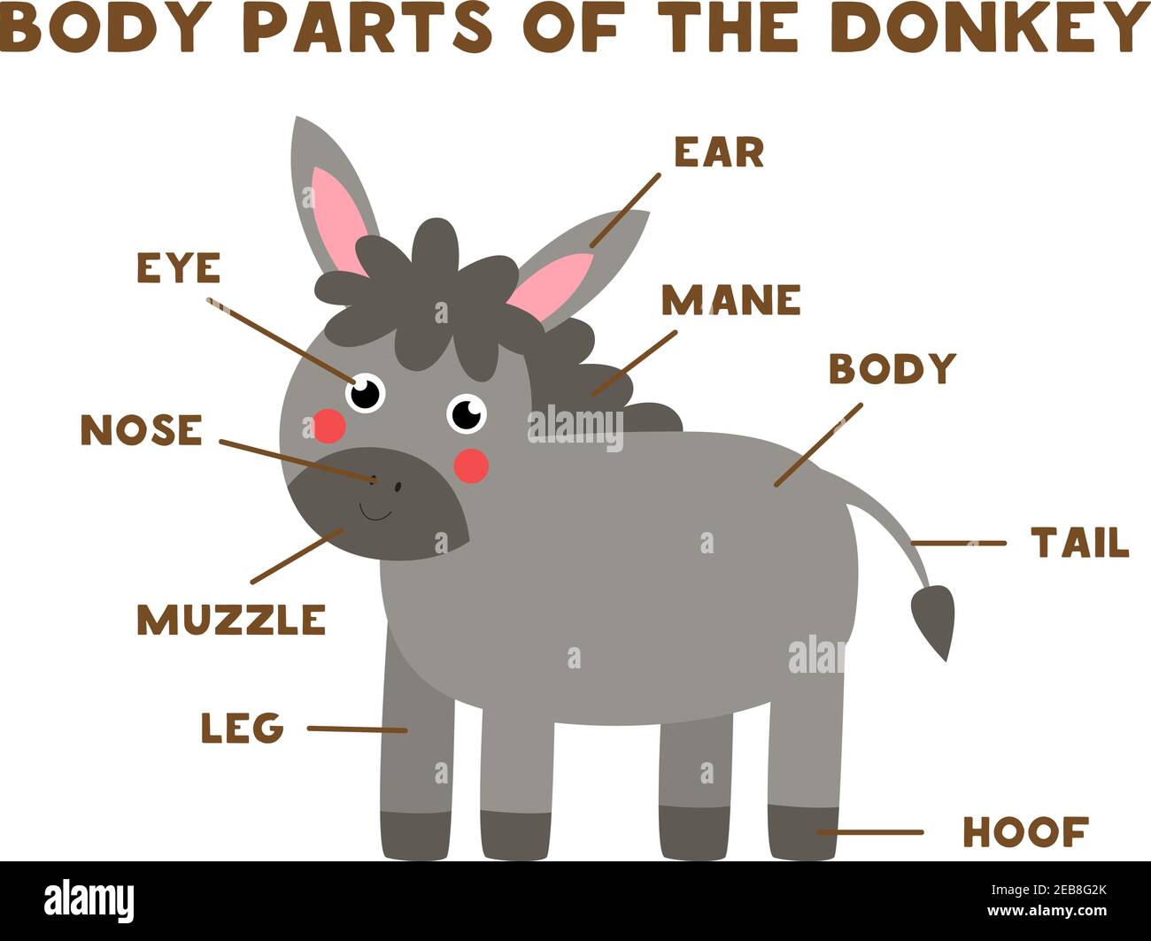 Parties du corps de la jolie ferme de dessin animé âne. Anatomie des ...