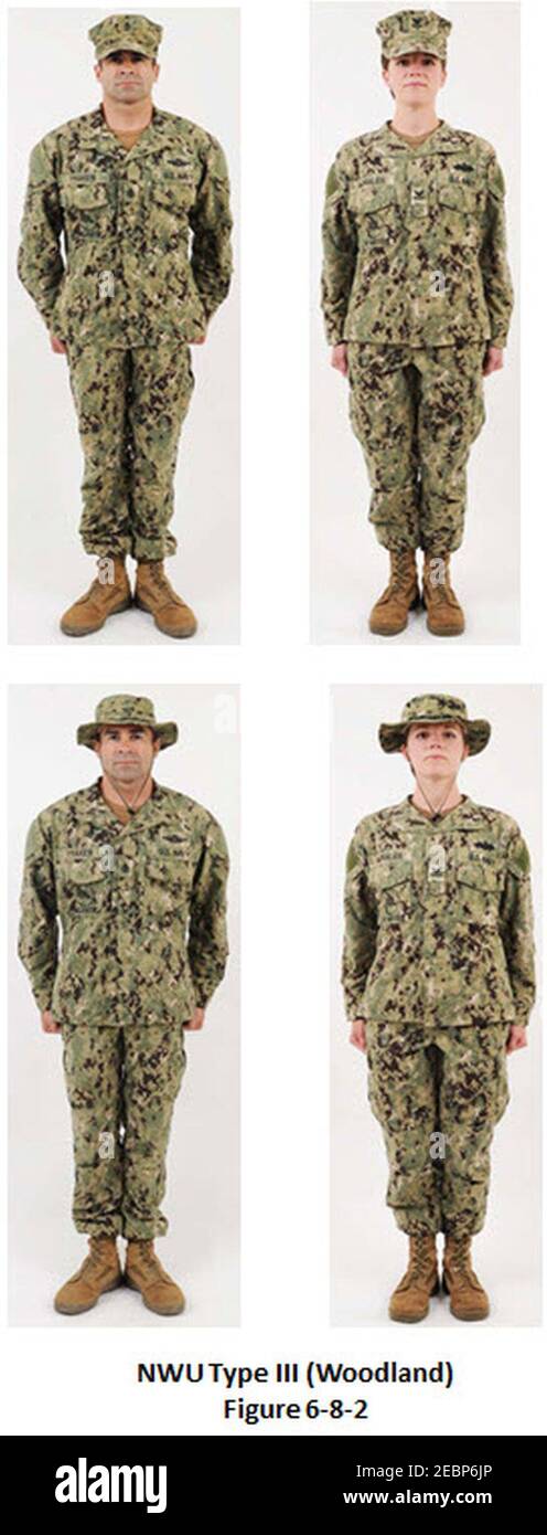 Nwu type iii Banque de photographies et d’images à haute résolution - Alamy