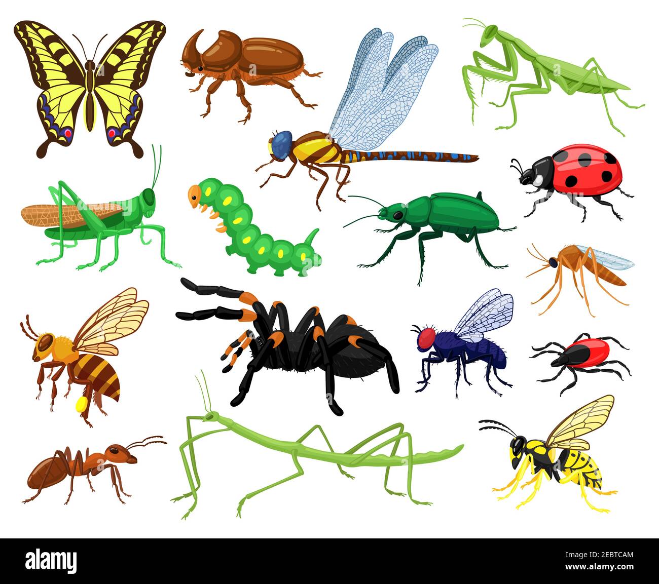 Ensemble D Insectes De Dessin D Aquarelle Illustration De Vecteur | The ...