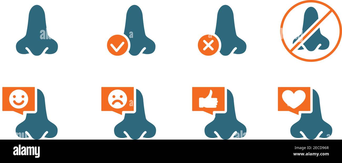 Anatomie du nez et des sinus Banque de photographies et d’images à ...