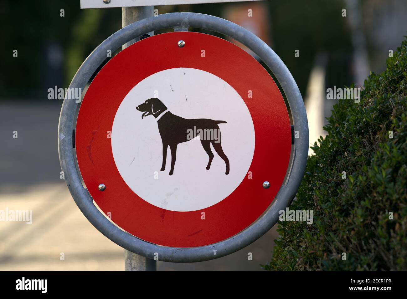 Panneau de signalisation interdit aux chiens Banque de photographies et ...