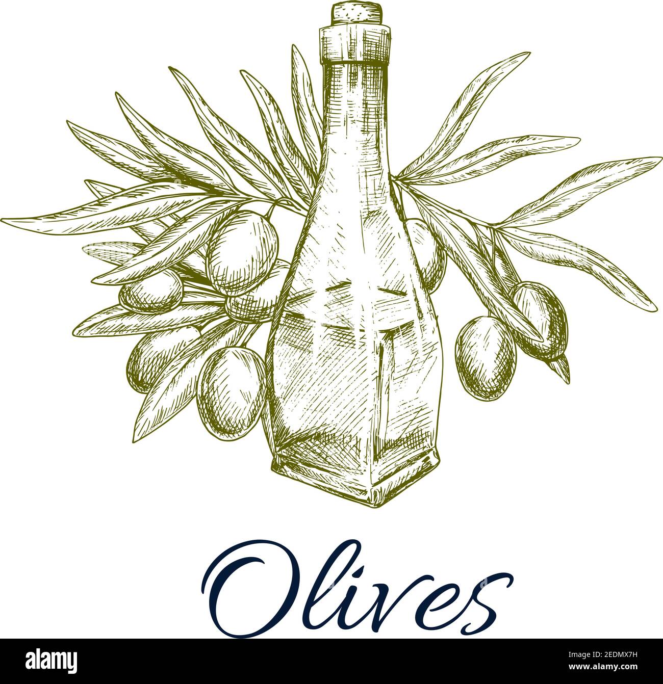 Olive tree vector vectors drawn Banque de photographies et d’images à haute résolution - Page 3 ...