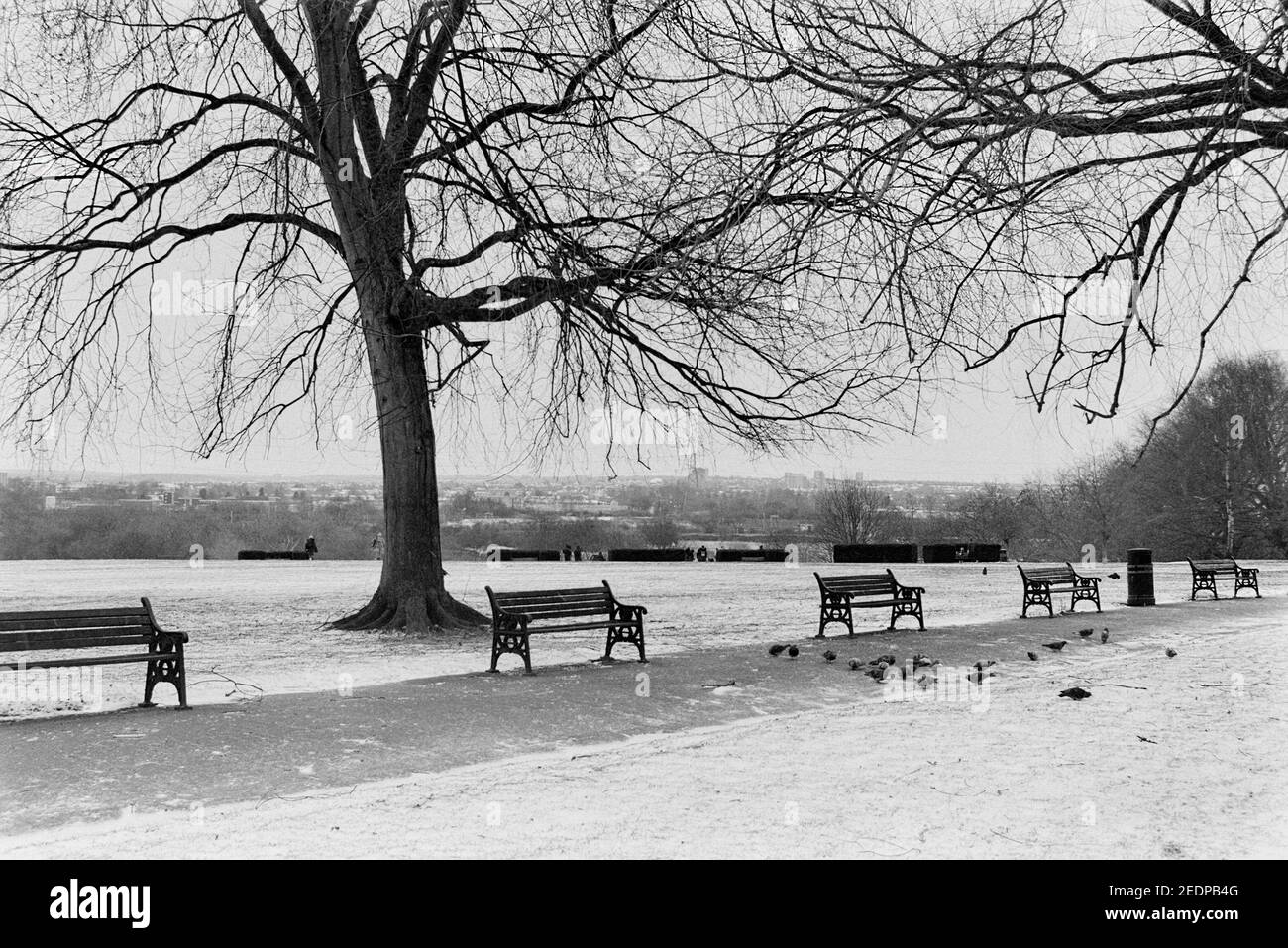 Springfield park london Banque de photographies et d’images à haute ...