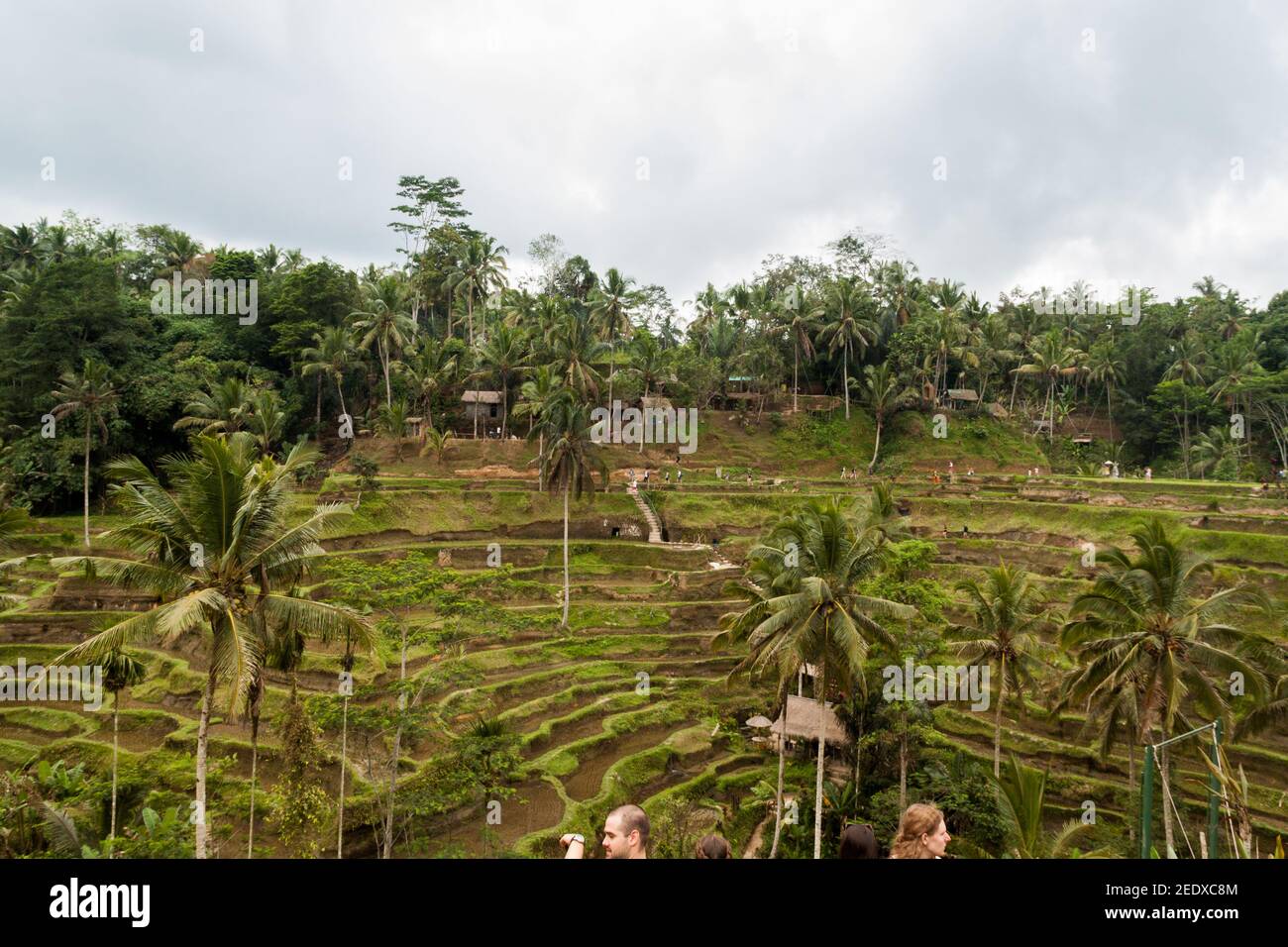 Bali photos Banque de photographies et d’images à haute résolution - Alamy