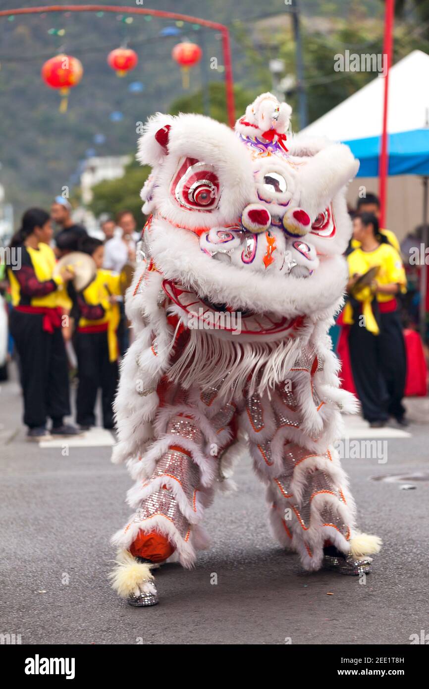 Lion reunion Banque de photographies et d’images à haute résolution - Alamy