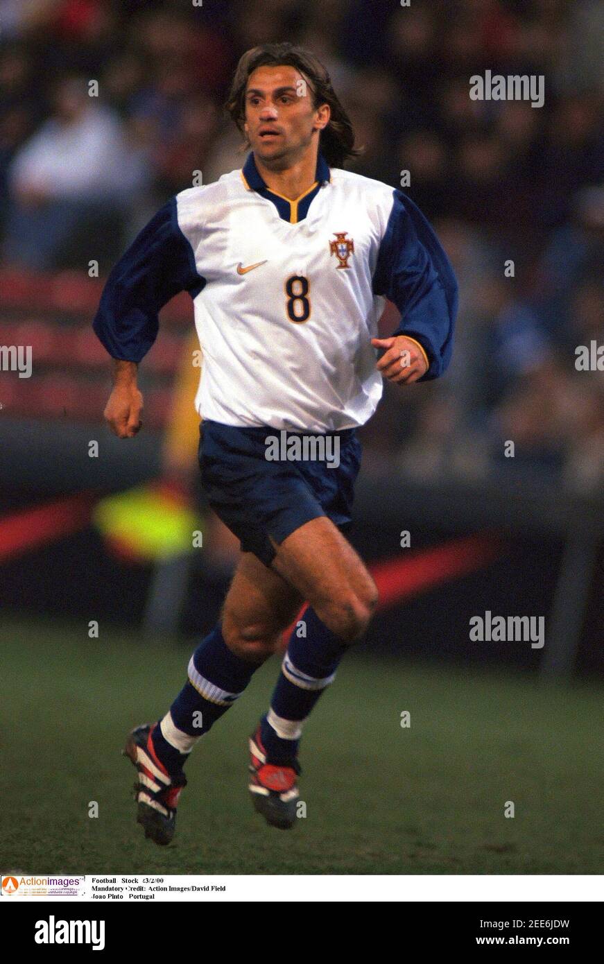 Joao Pinto Banque d'image et photos - Alamy