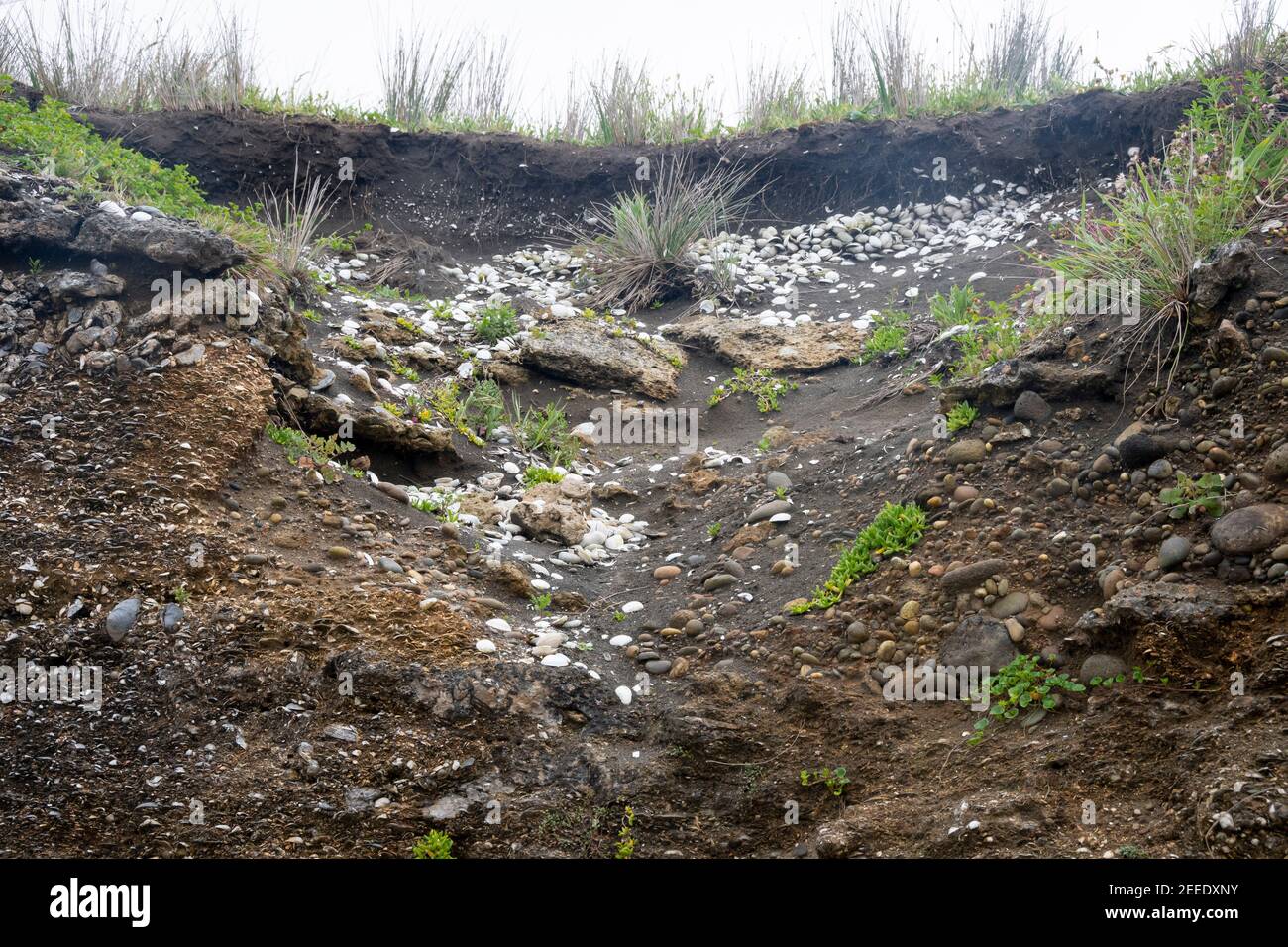Plage de waiinu Banque de photographies et d’images à haute résolution ...