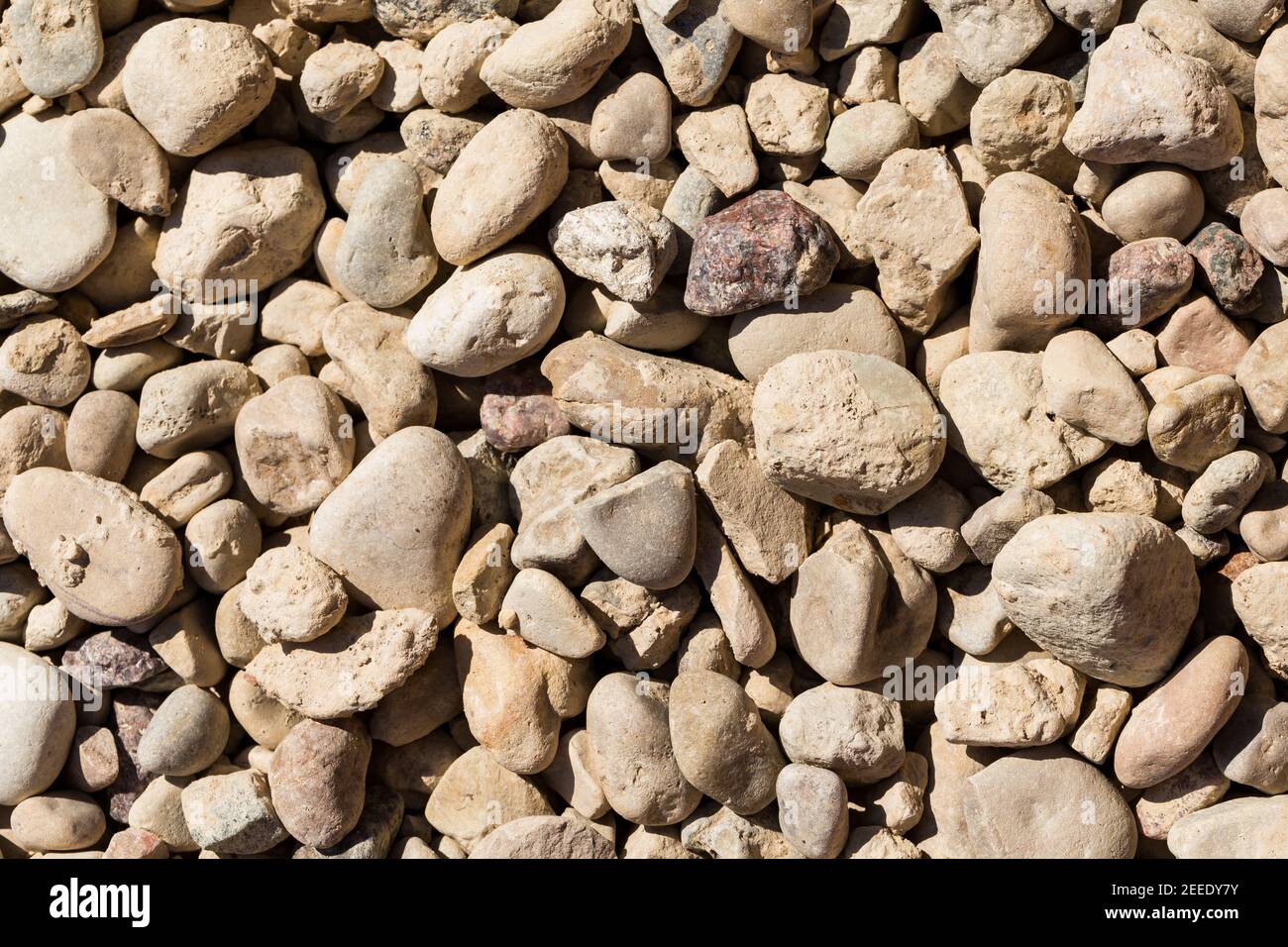 Détails de texture des galets de pierre ou arrière-plan des galets de ...