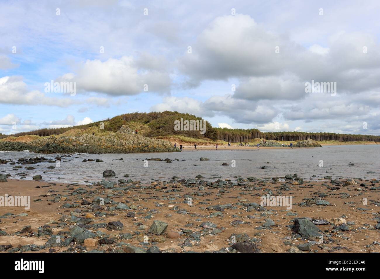 Plage forestière de Traeth Llanddwyn Newborough, Réserve naturelle ...