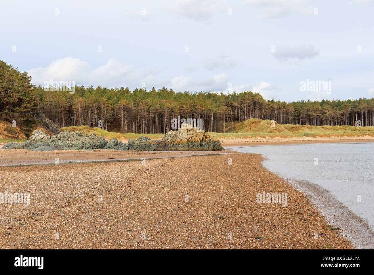 Plage forestière de Traeth Llanddwyn Newborough, Réserve naturelle ...