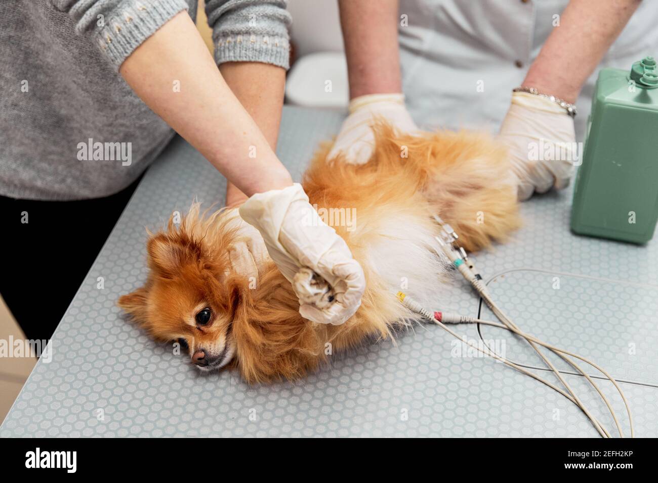 Ecg Electrode Banque d'image et photos - Alamy