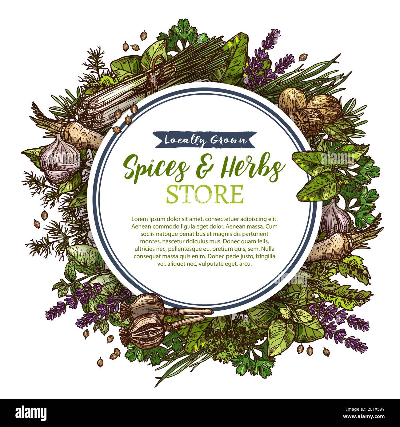 Herbes et épices croquis poster de pour le magasin de ferme ou le ...