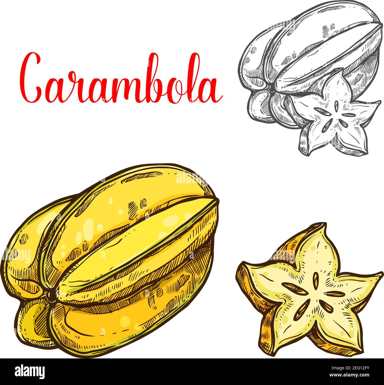 Dessin de fruits carabole de fruits exotiques tropicaux. Jaune juteuse ...