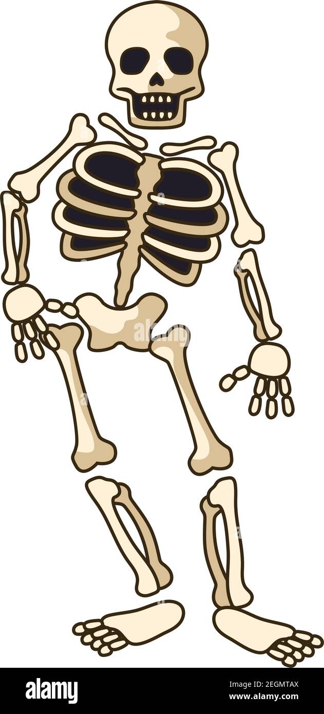 icône de squelette humain isolée sur fond blanc. illustration ...
