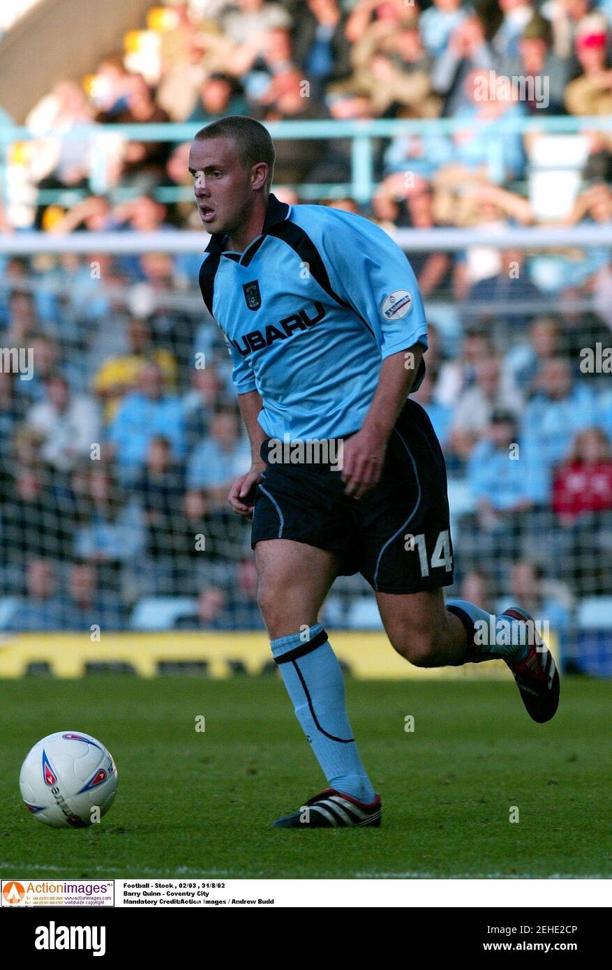 Bouillon de quinn Banque de photographies et d’images à haute ...