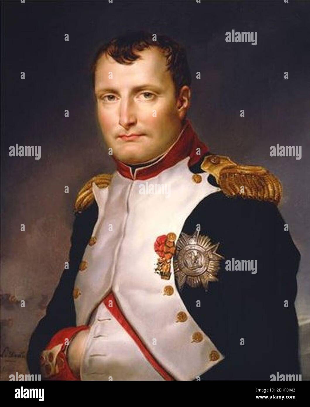 Tableau de napoleon bonaparte Banque de photographies et d’images à ...