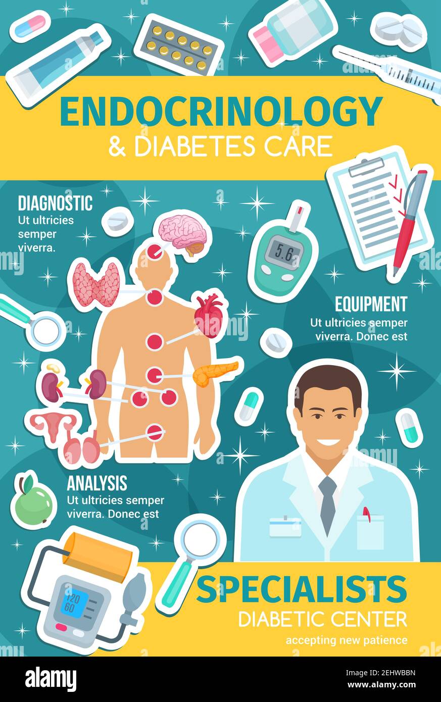 Glande endocrine Banque d'images vectorielles - Alamy