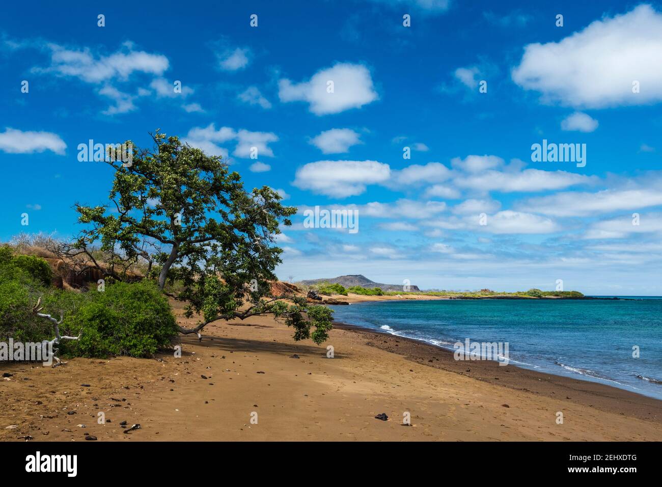 île de floreana Banque de photographies et d’images à haute résolution ...