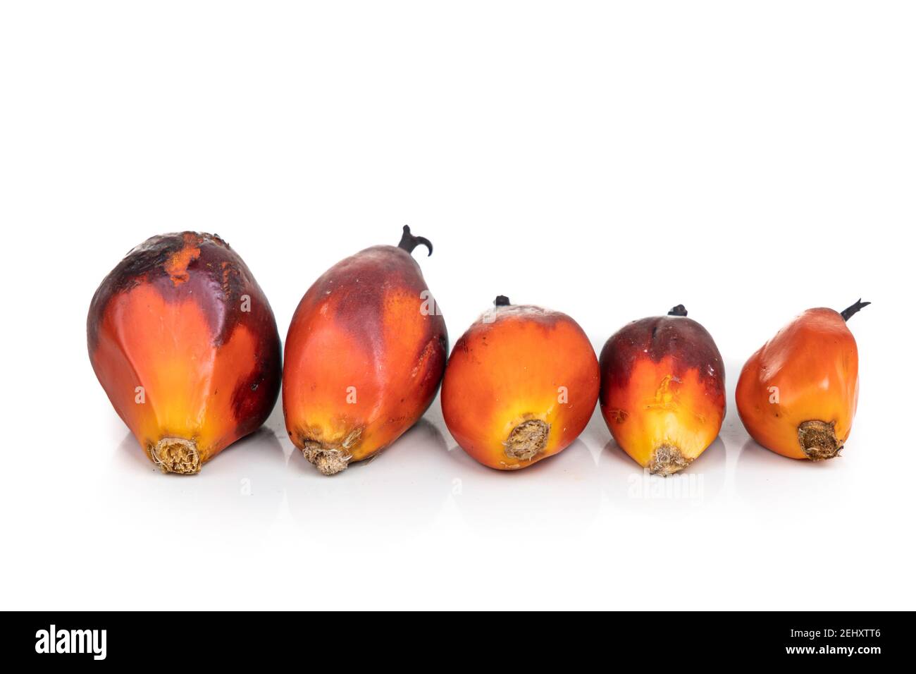 Comparaison des tailles Banque de photographies et d’images à haute résolution - Alamy