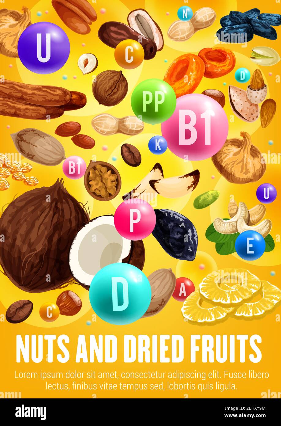 Cedar fruit Banque d'images vectorielles - Alamy