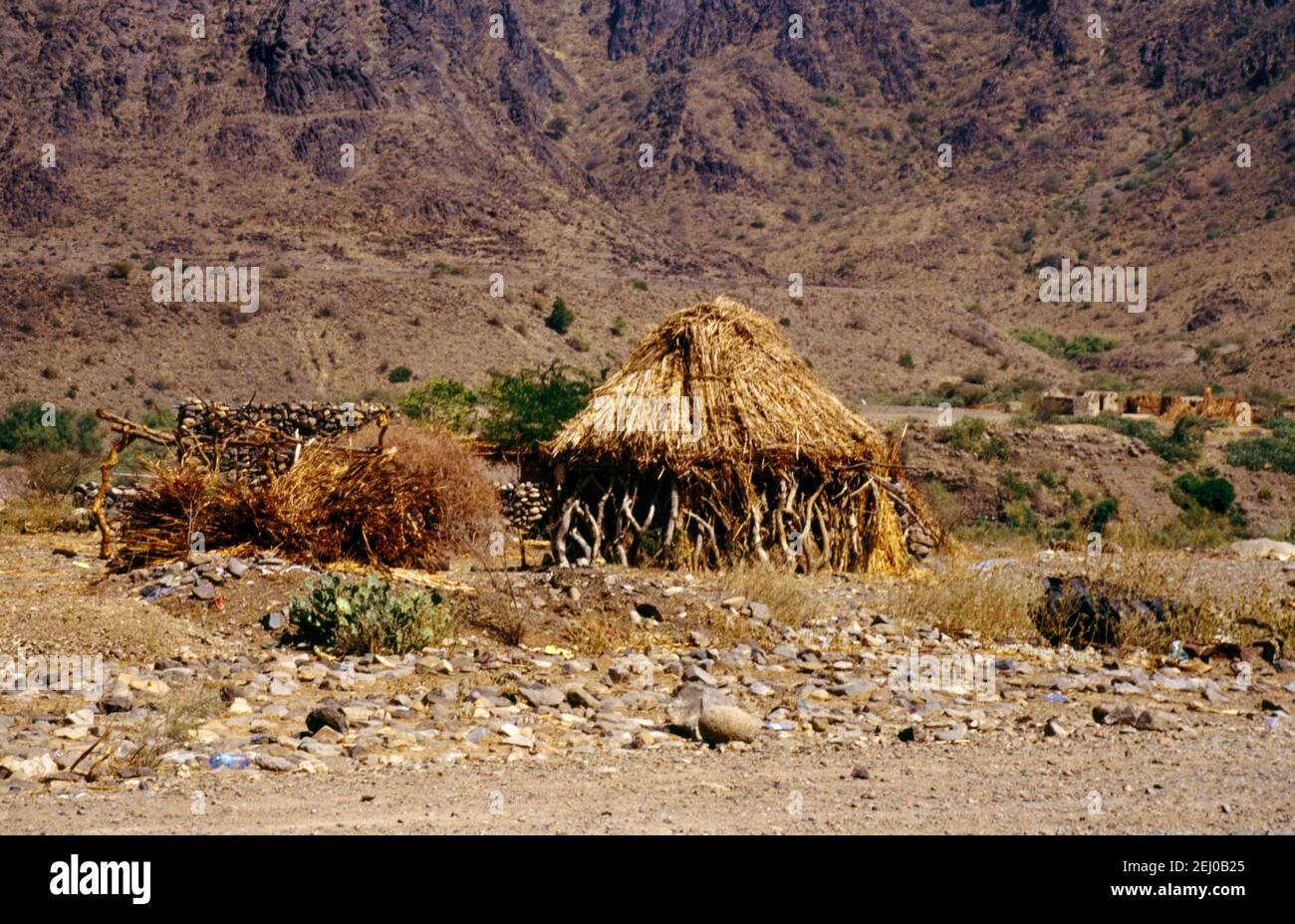 La tihama yémen Banque de photographies et d’images à haute résolution ...