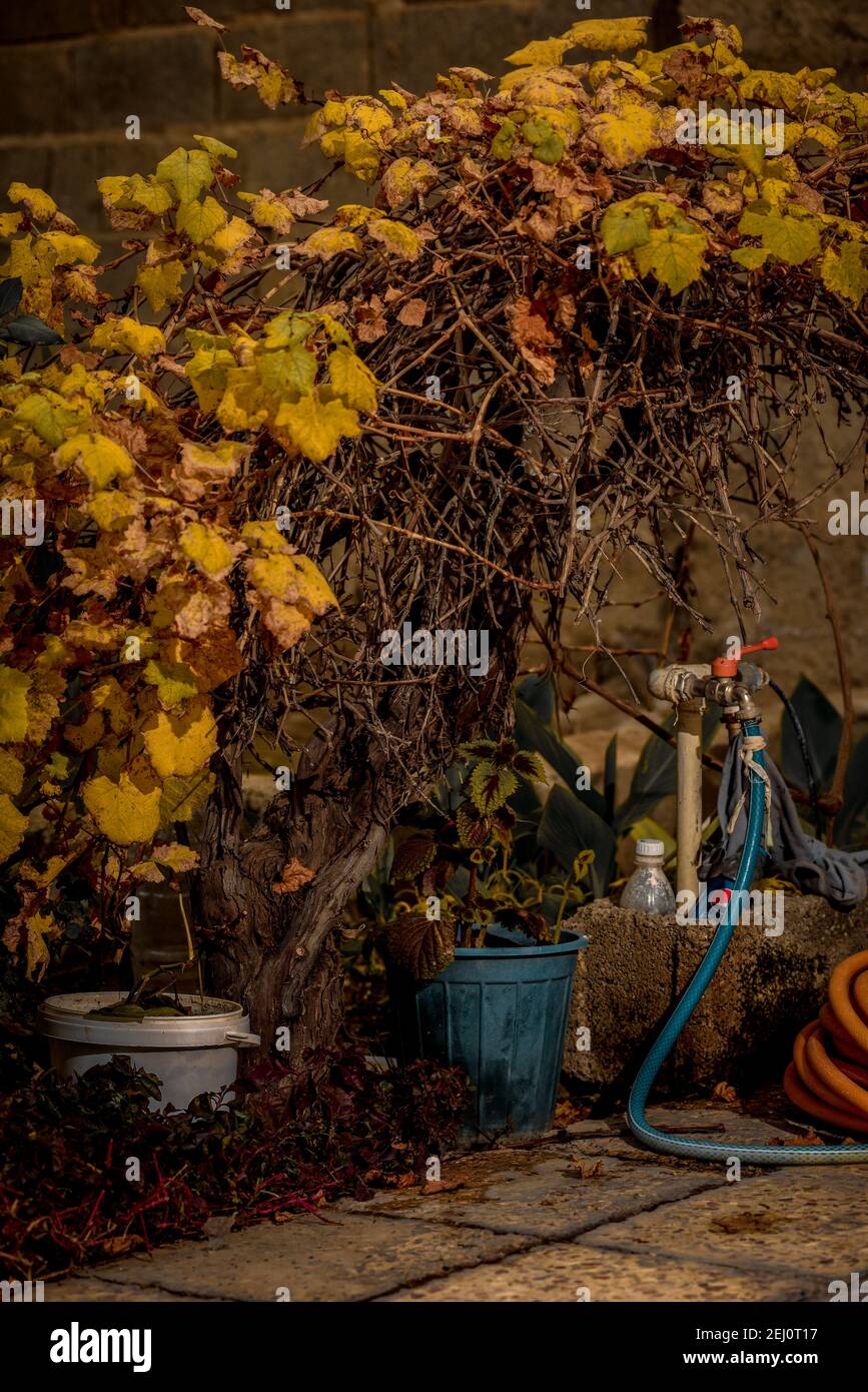 Joli fond Banque de photographies et d’images à haute résolution - Alamy