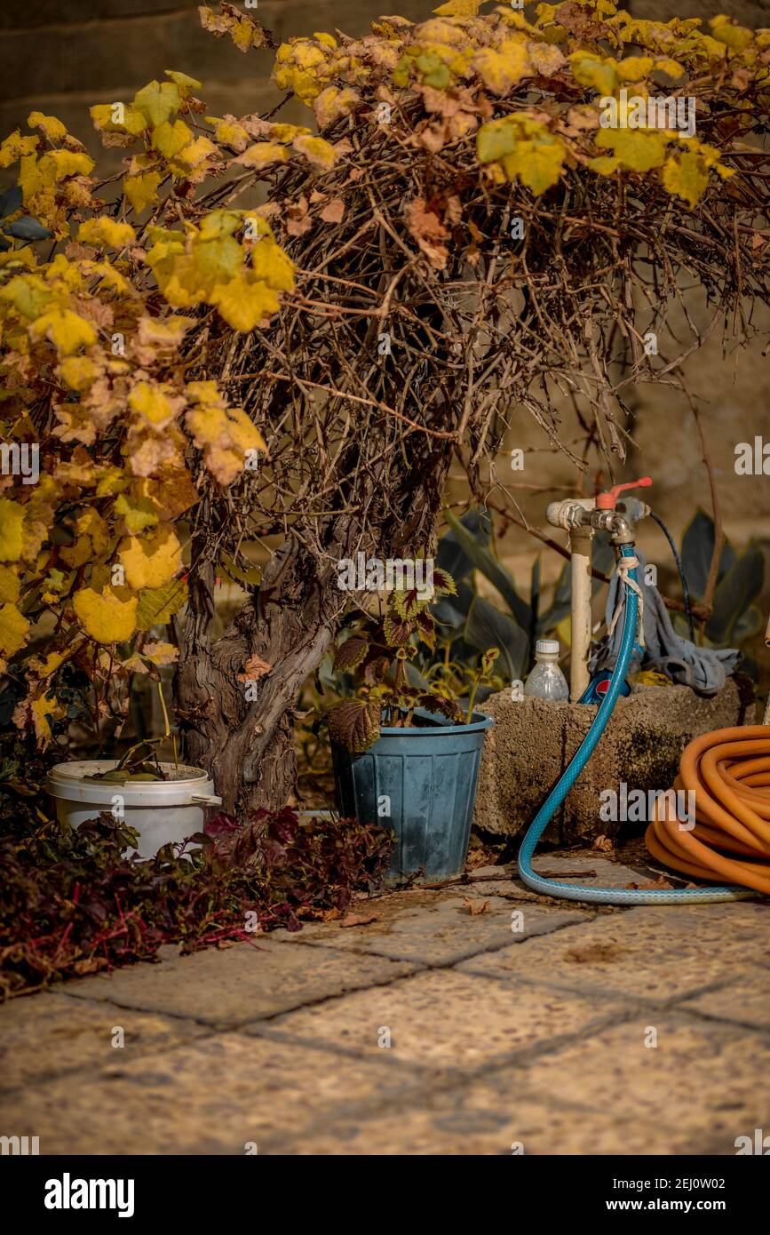 Joli fond Banque de photographies et d’images à haute résolution - Alamy
