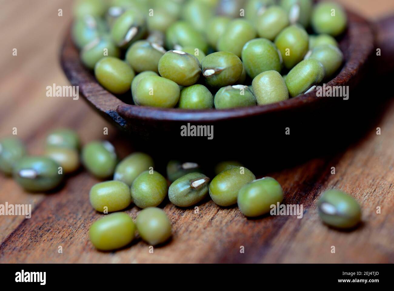 Phaseolus mungo Banque de photographies et d’images à haute résolution ...