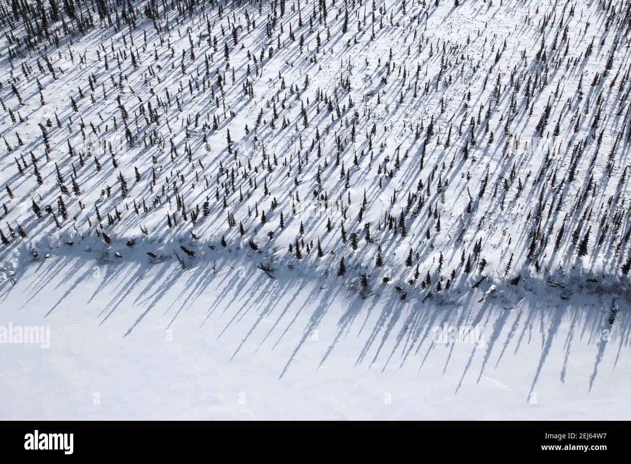 Rivage du fleuve mackenzie Banque de photographies et d’images à haute ...