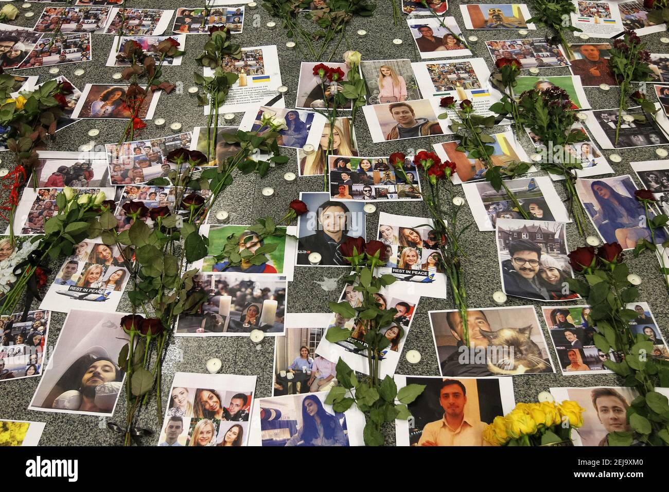 Fleurs vues placées sur les portraits des victimes du vol PS 752 au ...