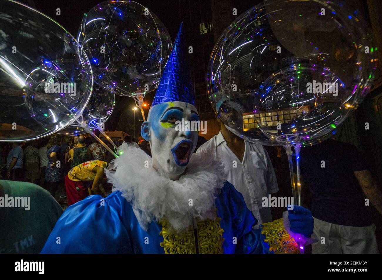 São Paulo (SP), 18/02/2020 - DÉFILÉ DE CARNAVAL - les fêtards ...