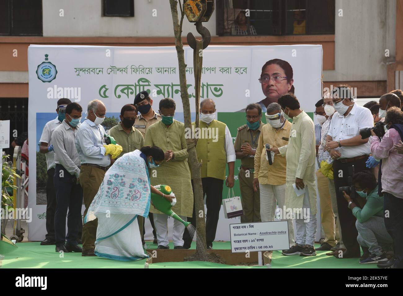 KOLKATA, INDE - JUIN 5 : la ministre en chef Mamata Banerjee plante un ...