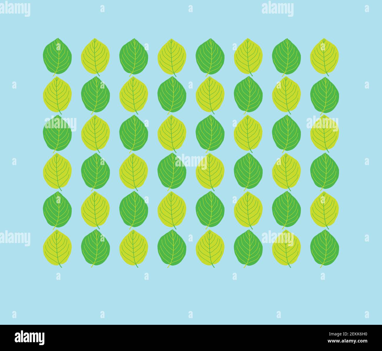 Feuille illustration Banque de photographies et d’images à haute ...