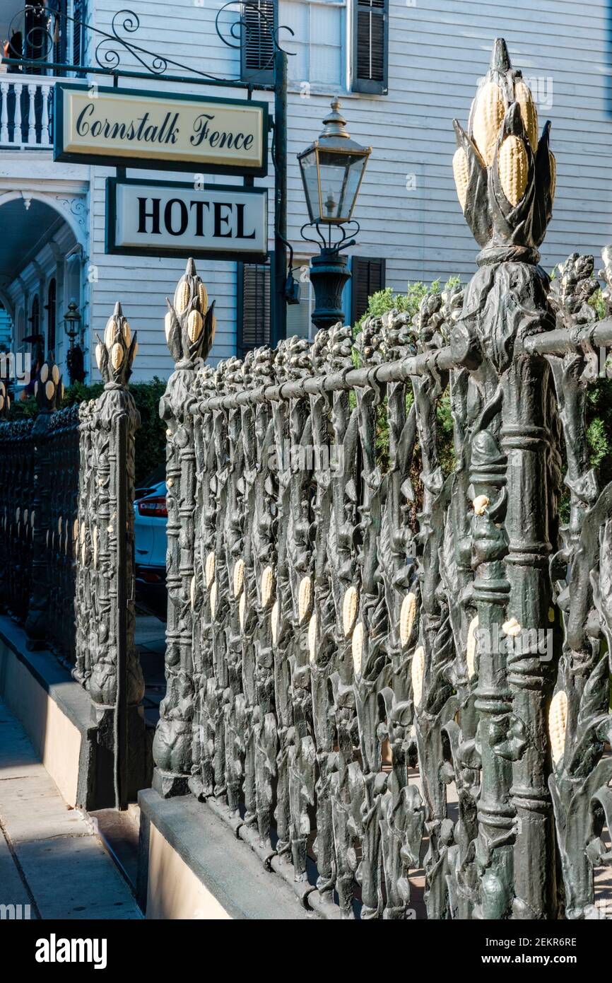 Détails extérieurs de la clôture en fer forgé en face de l'hôtel ...