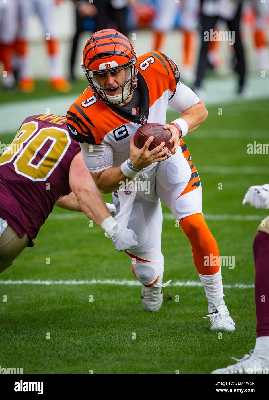 22 novembre 2020 : le quarterback des Bengals de Cincinnati Joe Burrow ...