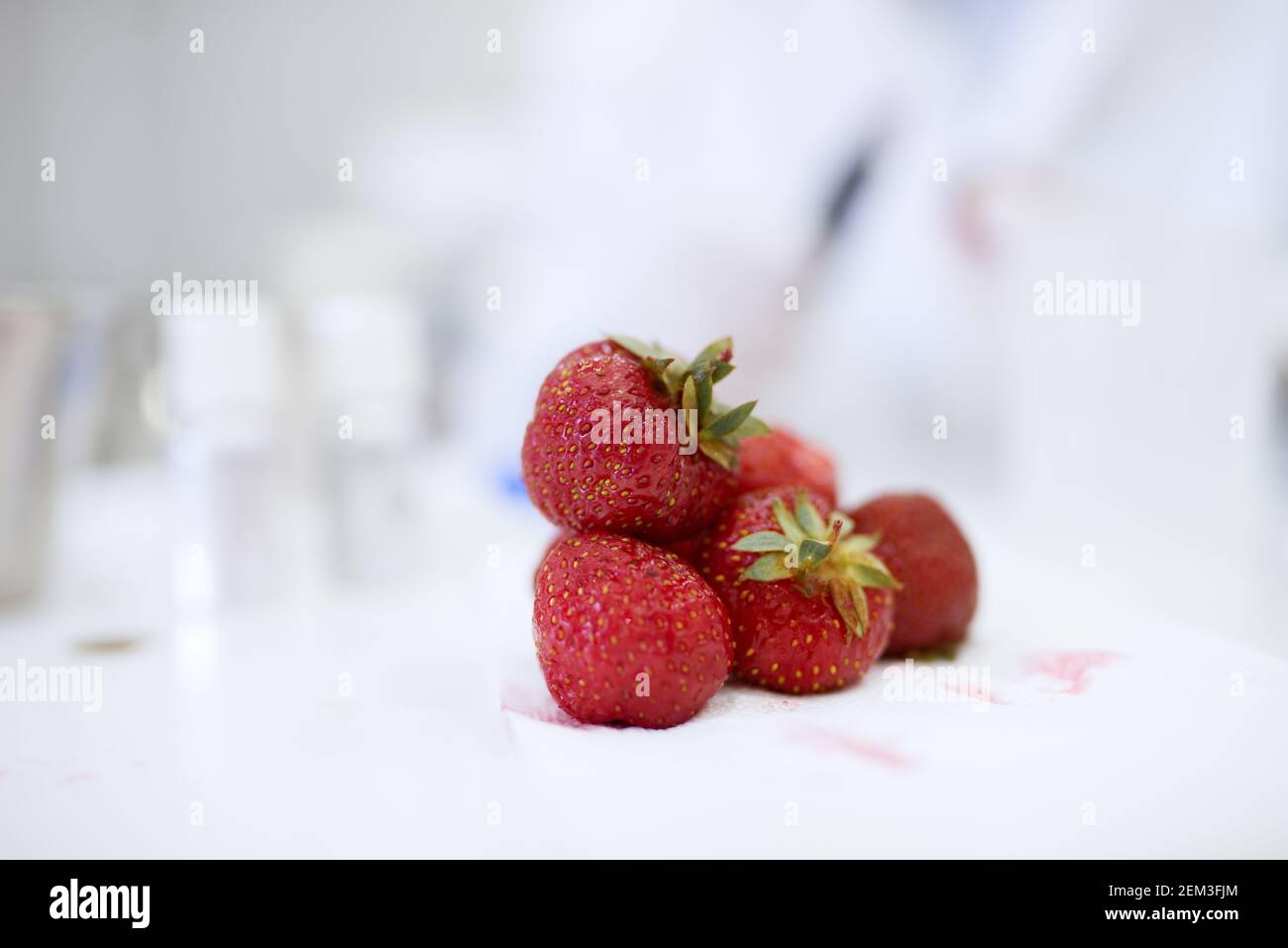 Cahier des charges bio Banque de photographies et d’images à haute ...