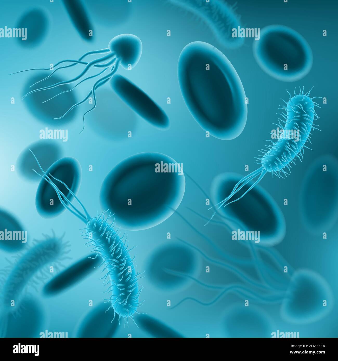 Microscope et cellules sanguines Banque d'images vectorielles - Page 3 ...