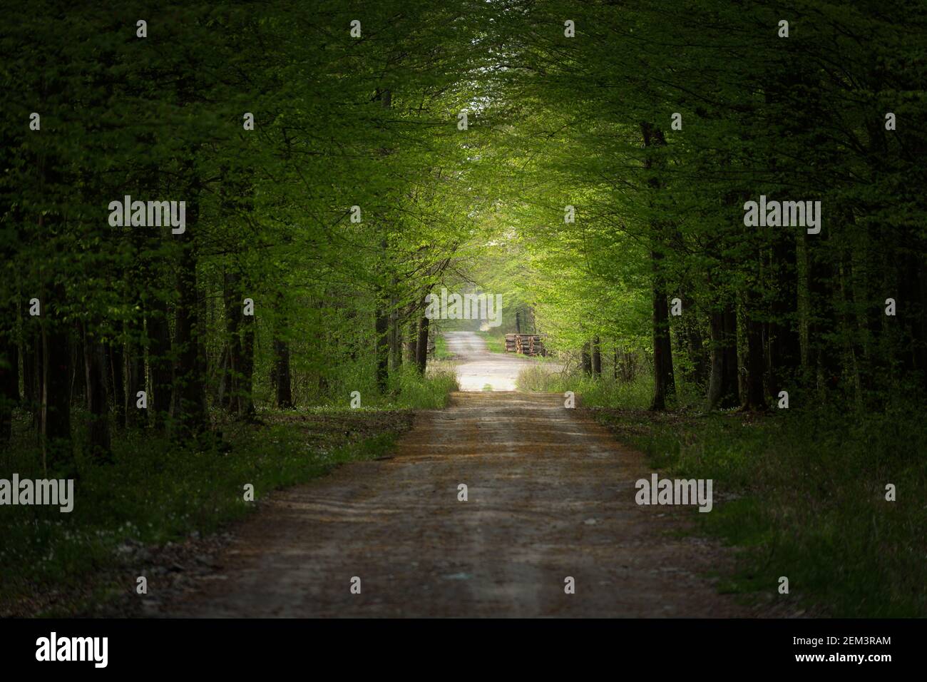 Tunnel sombre route Banque de photographies et d’images à haute ...