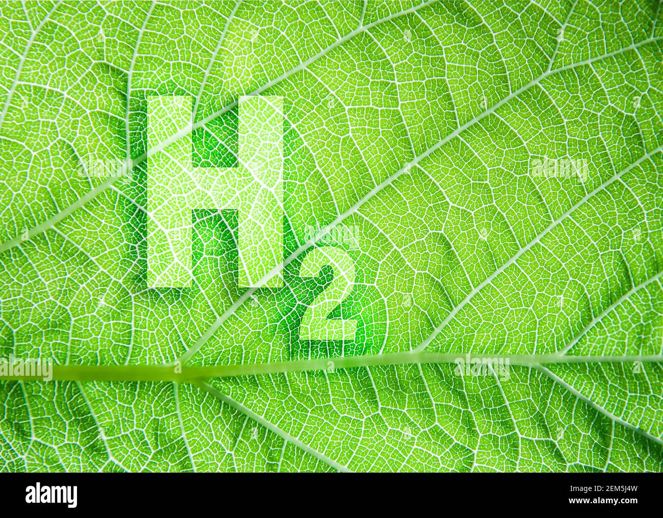 Symbole vert d'énergie hydrogène sur une texture de feuille. Concept ...