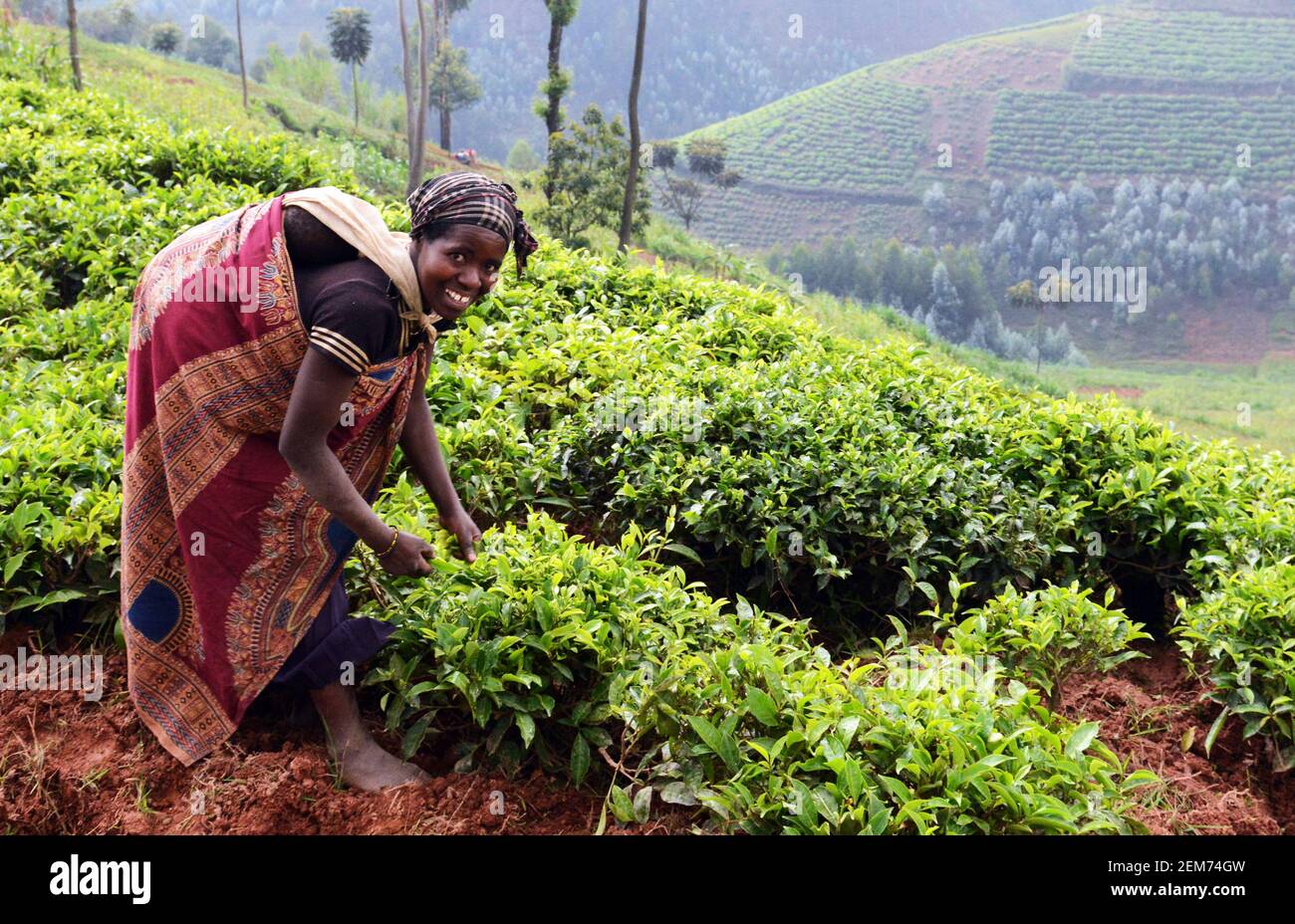Femme rwandaise souriante Banque de photographies et d’images à haute ...