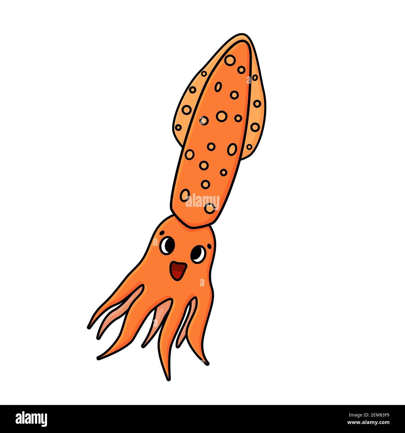 Calamar côtier à longue nageoires orange vectorisées. Dessin animé ...