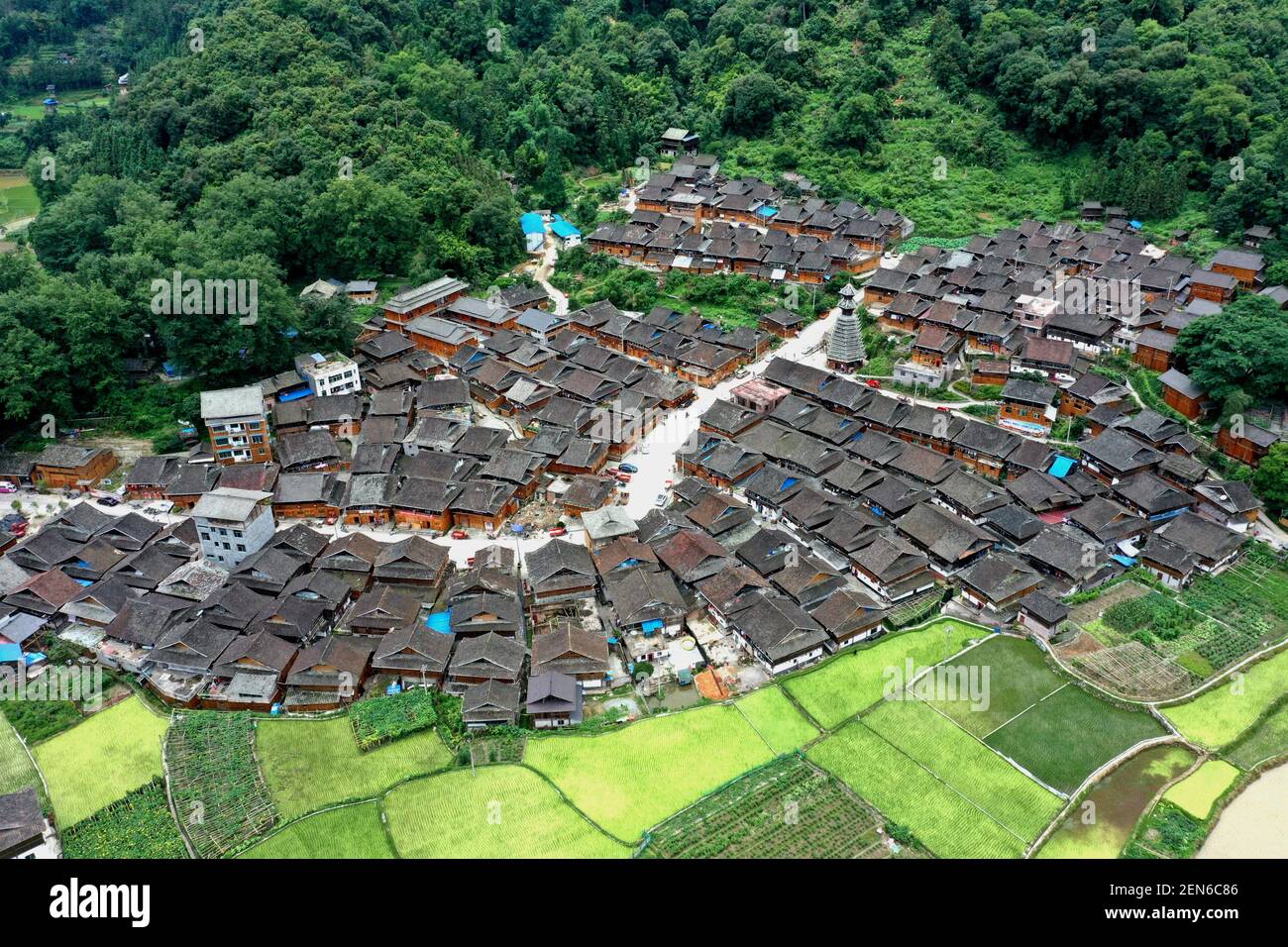 Guizhou, Chine - juin 18 2019 (USAGE ÉDITORIAL UNIQUEMENT. CHINA OUT) au milieu de la saison ...