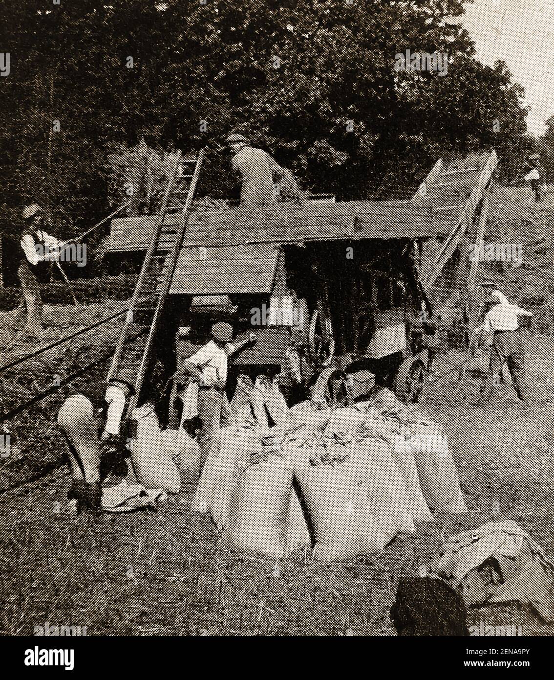 Farm workers 1930s Banque de photographies et d’images à haute ...