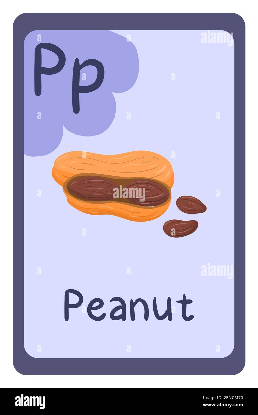 Carte flash d'éducation abc colorée, lettre P - arachide, graine avec ...