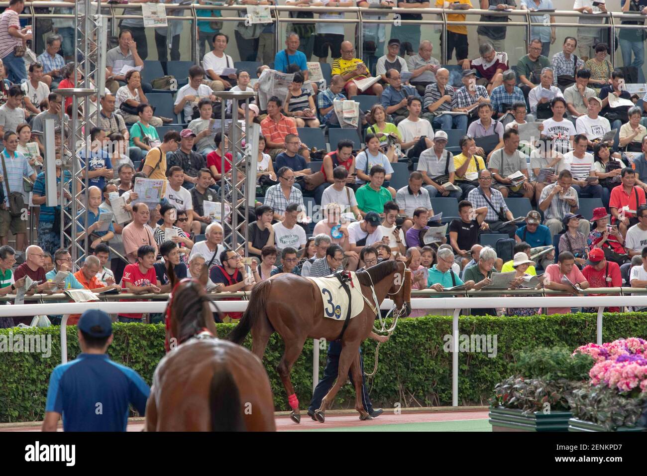 Les cavaliers et leurs chevaux se préparent à la course le premier jour ...